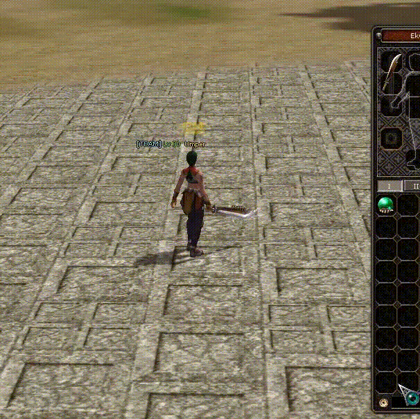 Official Inventory Expansion Problem Community Support Questions And Answers Metin2dev M2dev