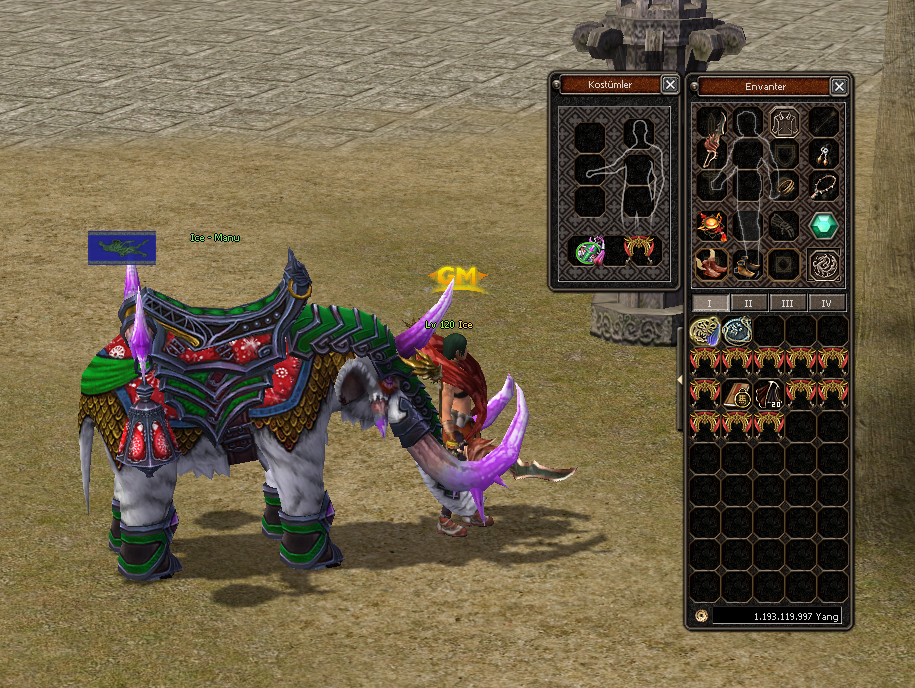 Mount Costume System Problem Community Support Questions And Answers Metin2dev M2dev