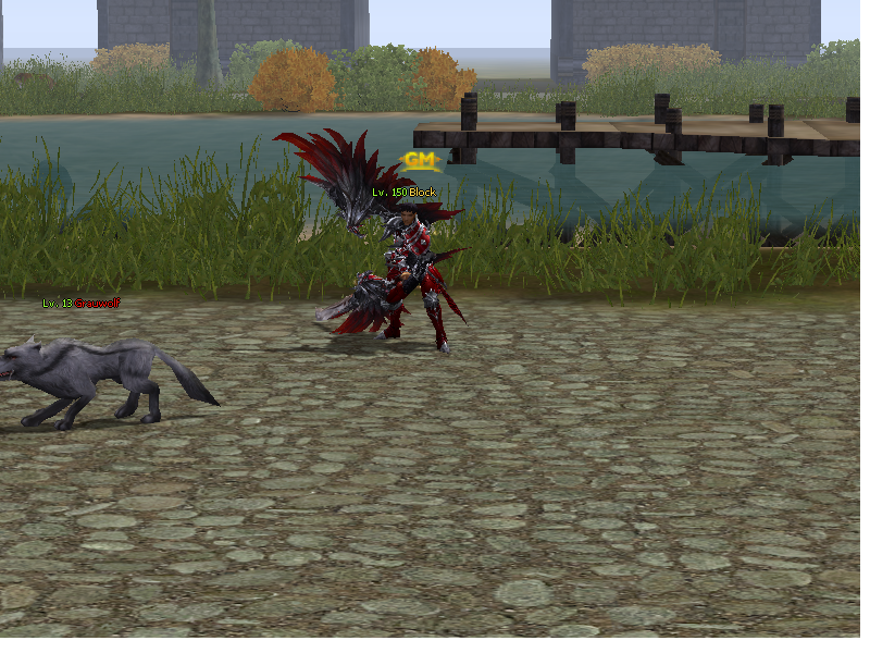 Wing Acce Problem - Community Support - Questions & Answers - Metin2Dev | M2Dev