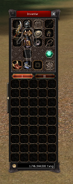 Inventory Interface - Interfaces - Metin2Dev | M2Dev