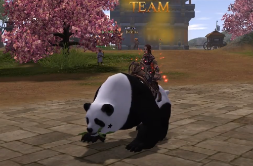 Panda Mount - Mounts - Metin2Dev | M2Dev