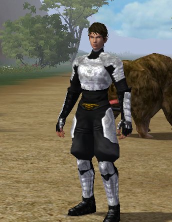 White Steel Armors - Graphismes 2D - Metin2Dev | M2Dev