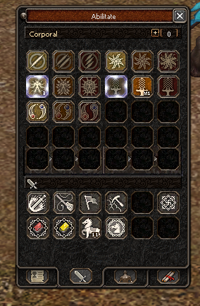 How to solve this visual skills window (toggle)? - Community Support - Questions & Answers ...